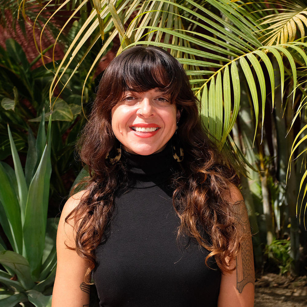 Mexico Realtors Focused on You - Pacifico Property